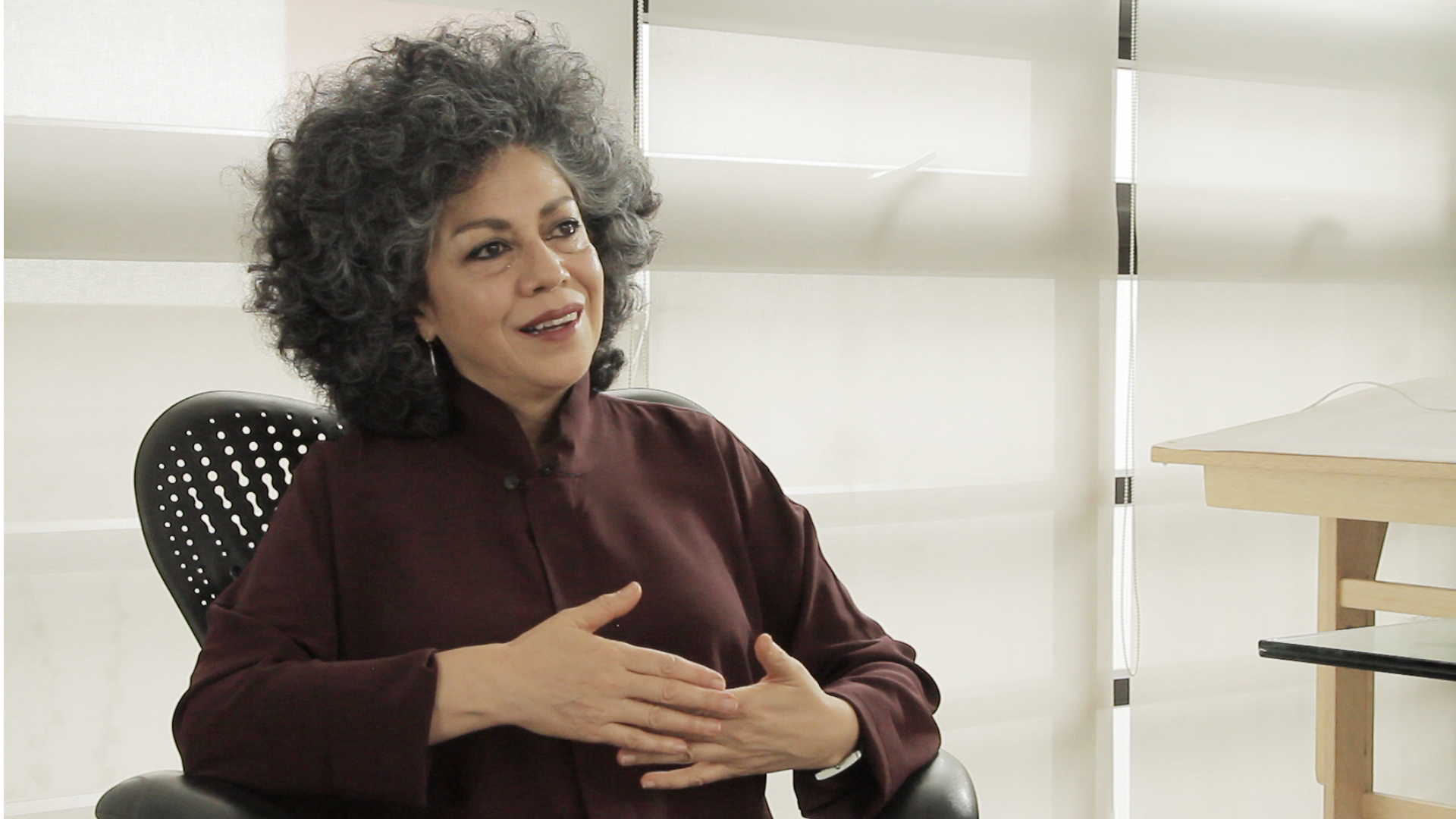 Doris Salcedo Documentary – Sarah Wambold